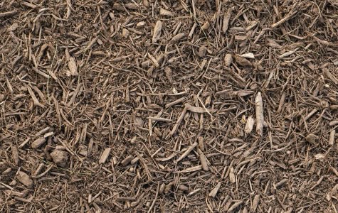 Enhance Your Landscape with Bark Installation | West Michigan Grounds ...